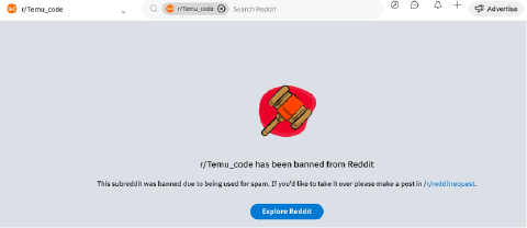 拼多多海外电商（Temu）研究